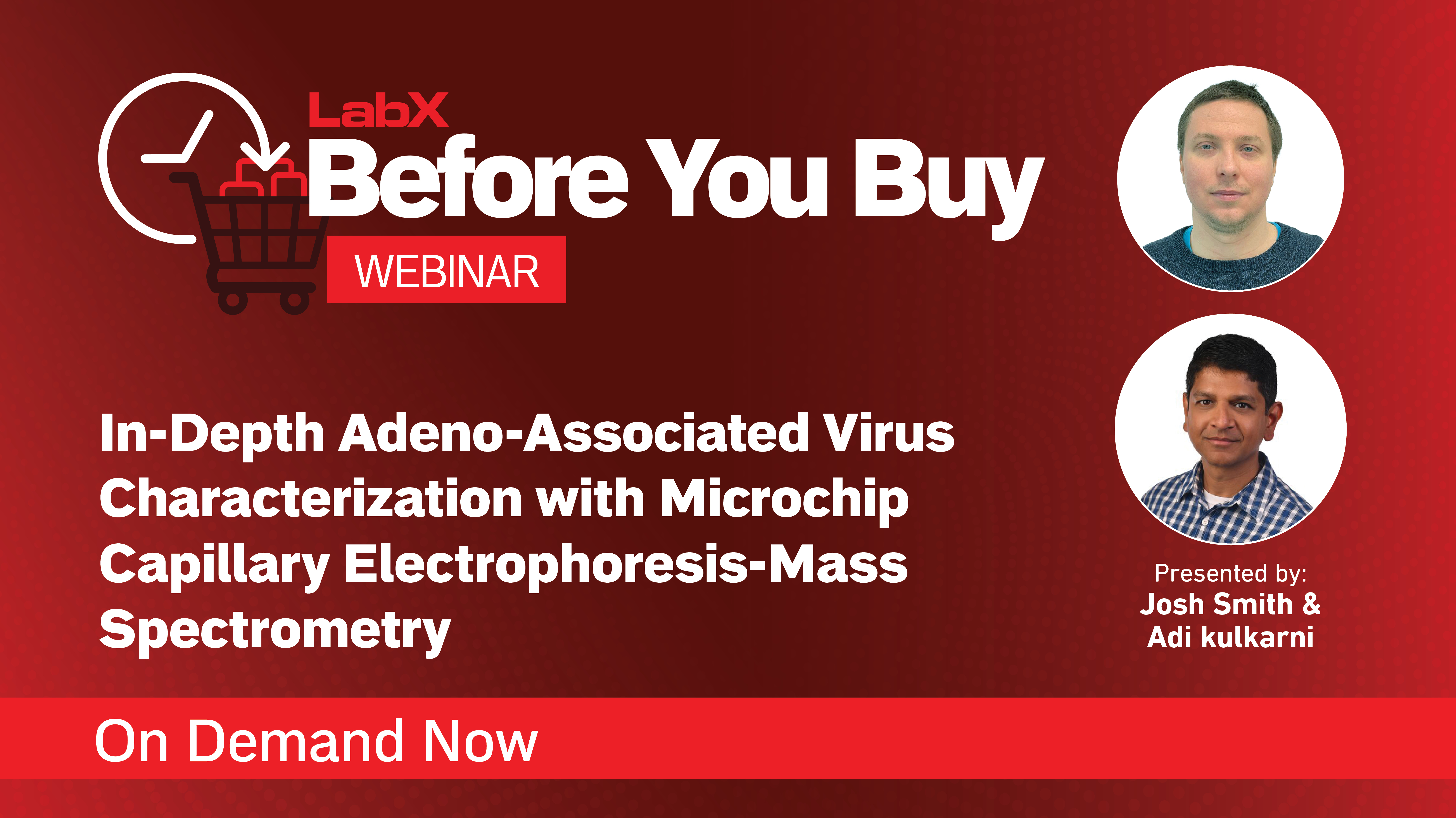 In Depth Adeno Associated Virus Characterization With Microchip Capillary Electrophoresis Mass